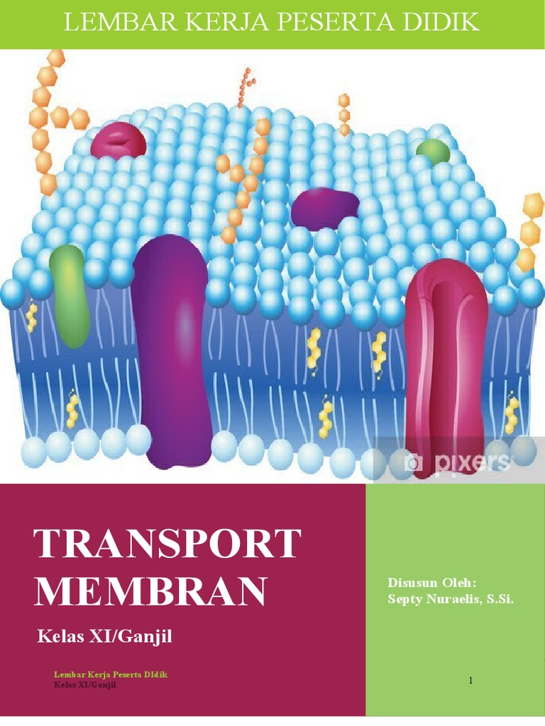 (Template) LKPD - PRAK - 10-14 AUSTUS 2020 - BIOLOGI - KELAS XI - KD 3. ... (Template) LKPD - PRAK - 10-14 AUSTUS 2020 - BIOLOGI - KELAS XI - KD 3. ...
