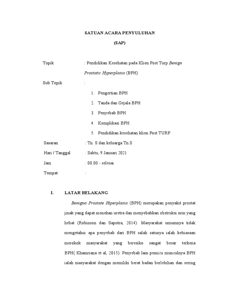 SAP Dan Leaflet BPH RIA | PDF