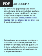Palametoscopia y Pelmatos | PDF | Huella dactilar | Ciencia forense