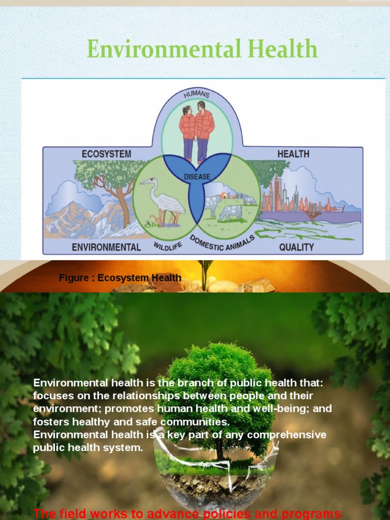 Public Health Presentation | PDF