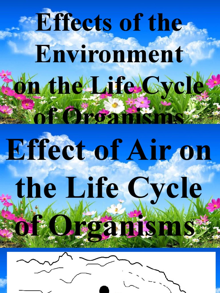 Environmental Impact on Organisms | PDF | Air Pollution | Atmosphere Of ...