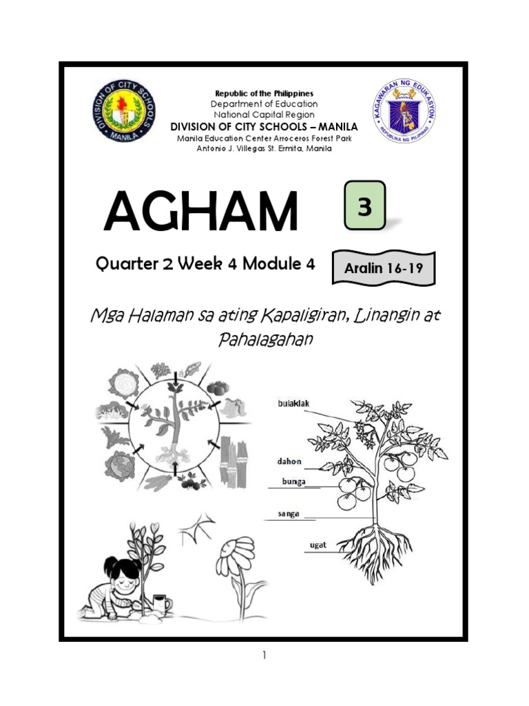 Science 3 q2 Mod4 | PDF