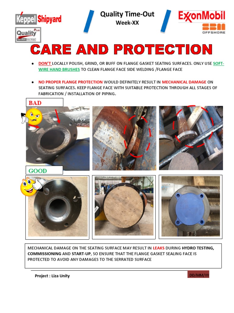 Flange Face Protection - No Mechanical Damage | PDF