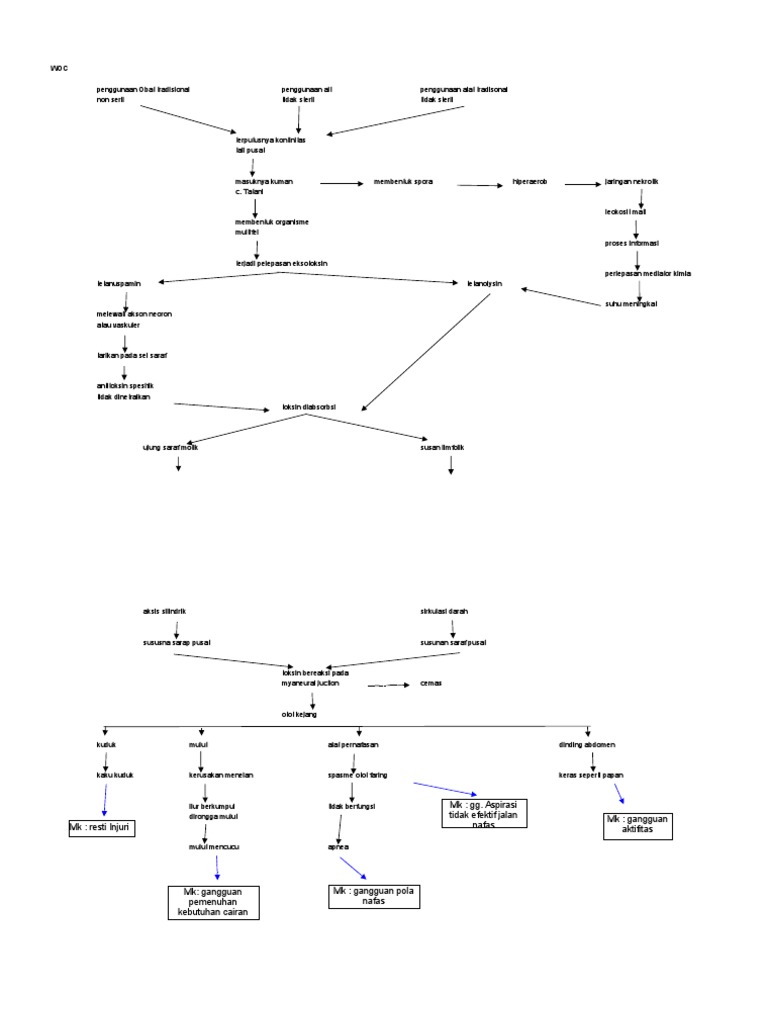 Woc Tetanus Neonatorum | PDF