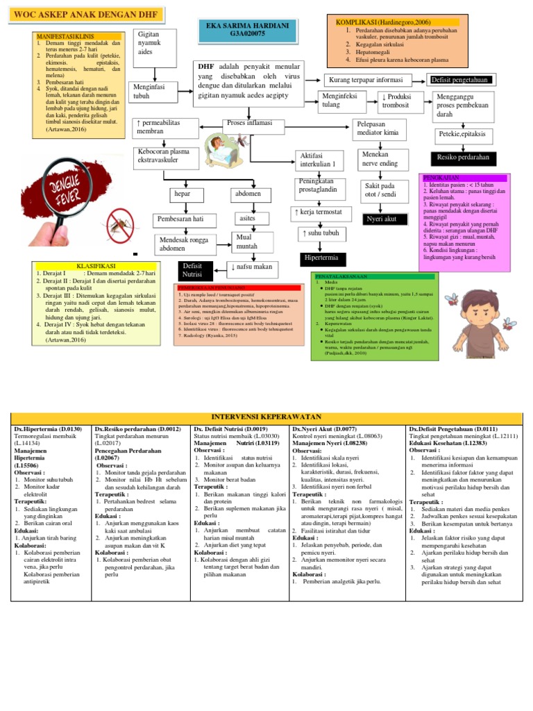 WOC DHF MINGGU Ke 1 | PDF