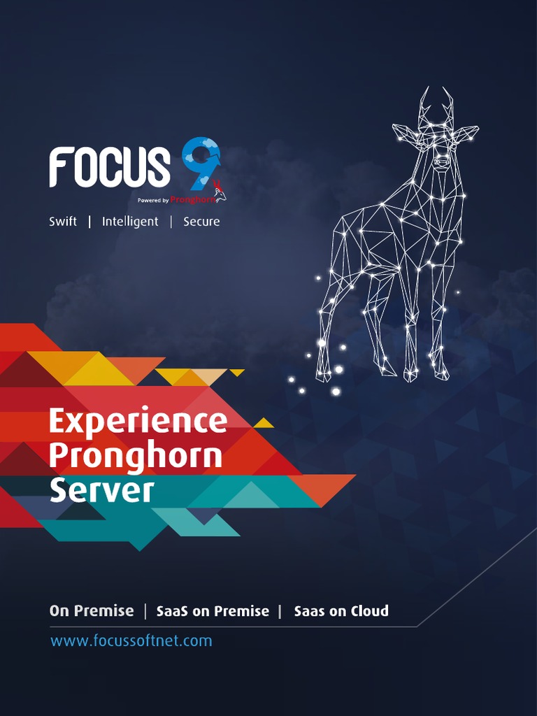 Focus 9-ERP | Download Free PDF | Databases | Enterprise Resource Planning