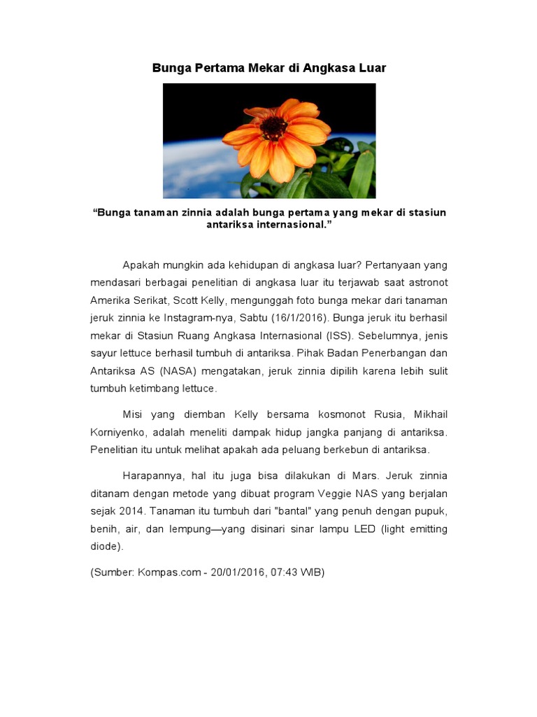 Bunga Pertama Mekar Di Angkasa Luar | PDF