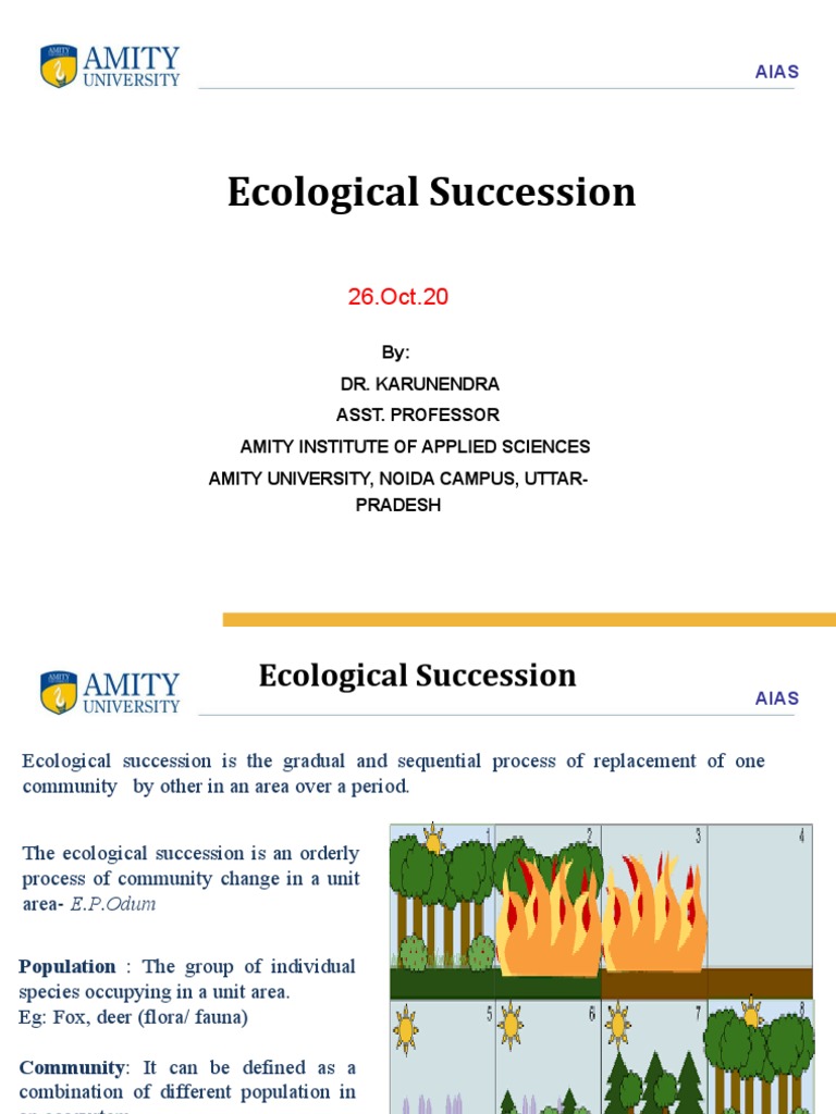 Understanding Ecological Succession Steps | PDF | Ecology | Ecosystem