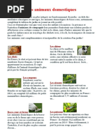 Les animaux domestiques et sauvages | PDF | Domestication | Animal familier