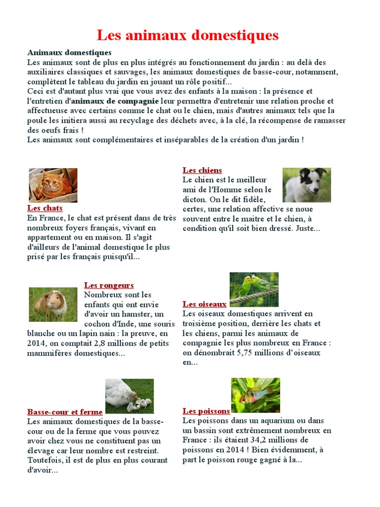 Les animaux domestiques en France | PDF | Domestication | Animal familier