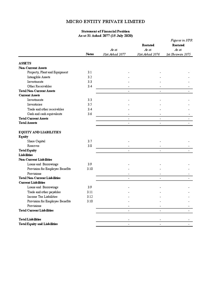 NAS For MEs Model Financials - Final Format | PDF | Equity (Finance ...