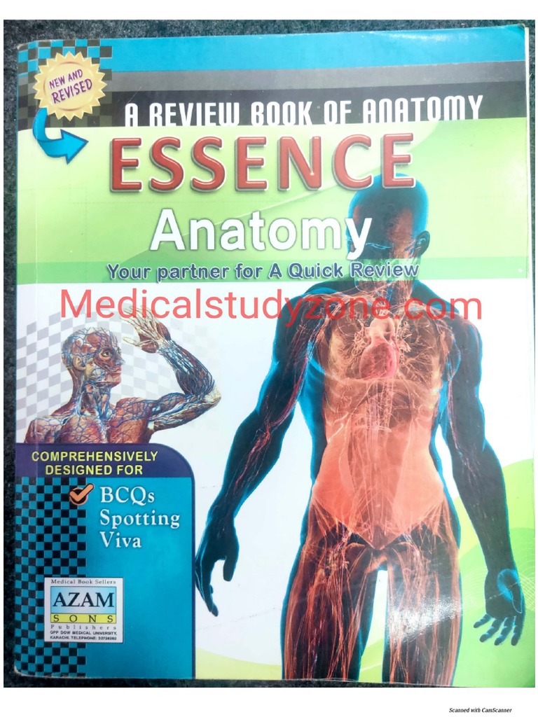 Essence Anatomy PDF | PDF
