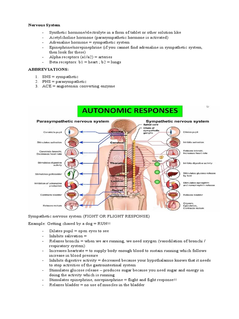Nervous System - Abbreviations | PDF | Angiotensin | Acetylcholine