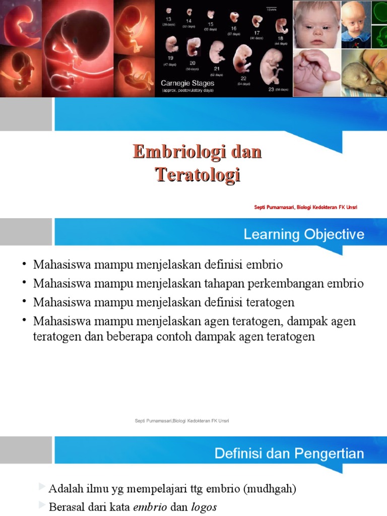 Embriologi Dan Teratologi | PDF