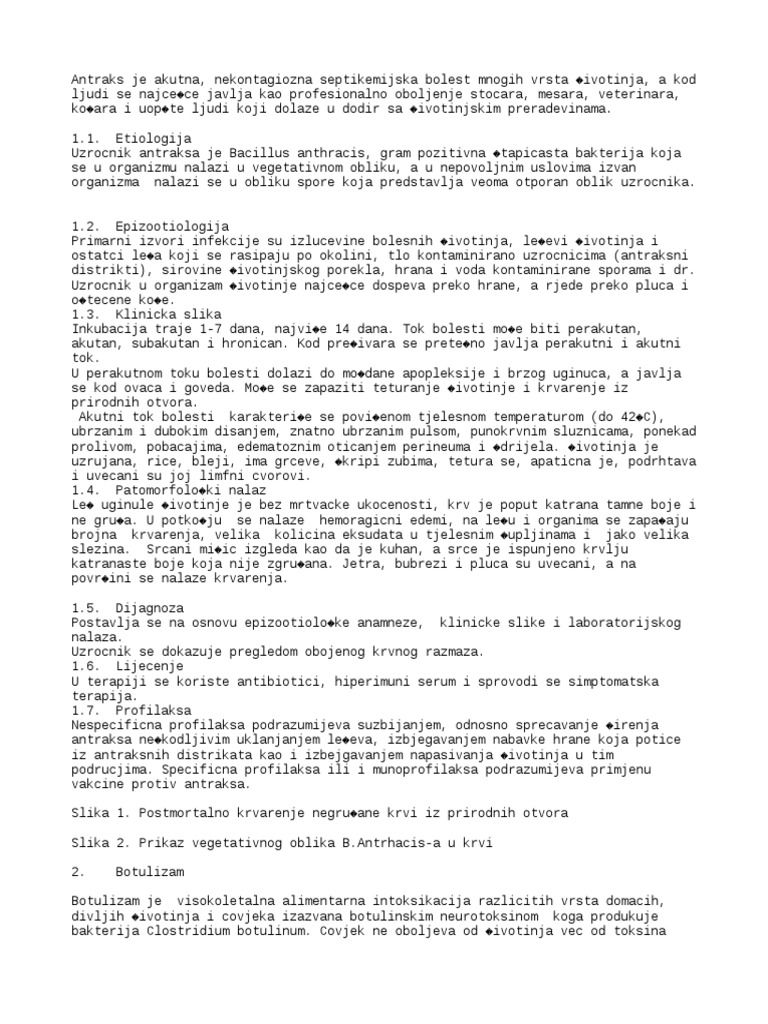 Bolesti Zivotinja | PDF