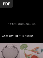 Fundus Diagram Drawing Guide | PDF | Retina | Human Eye