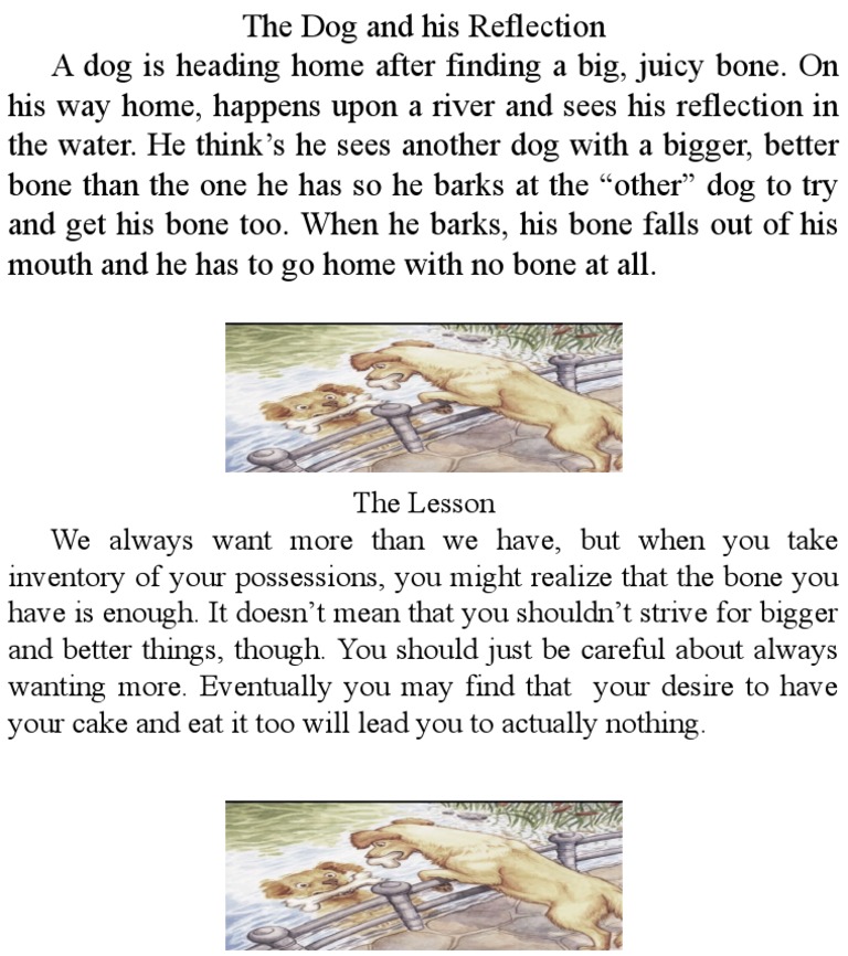 The Dog and Its Reflection | PDF