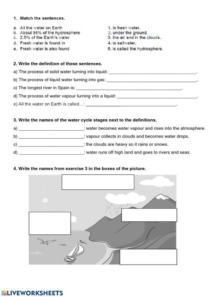 Write The Definition of These Sentences | PDF