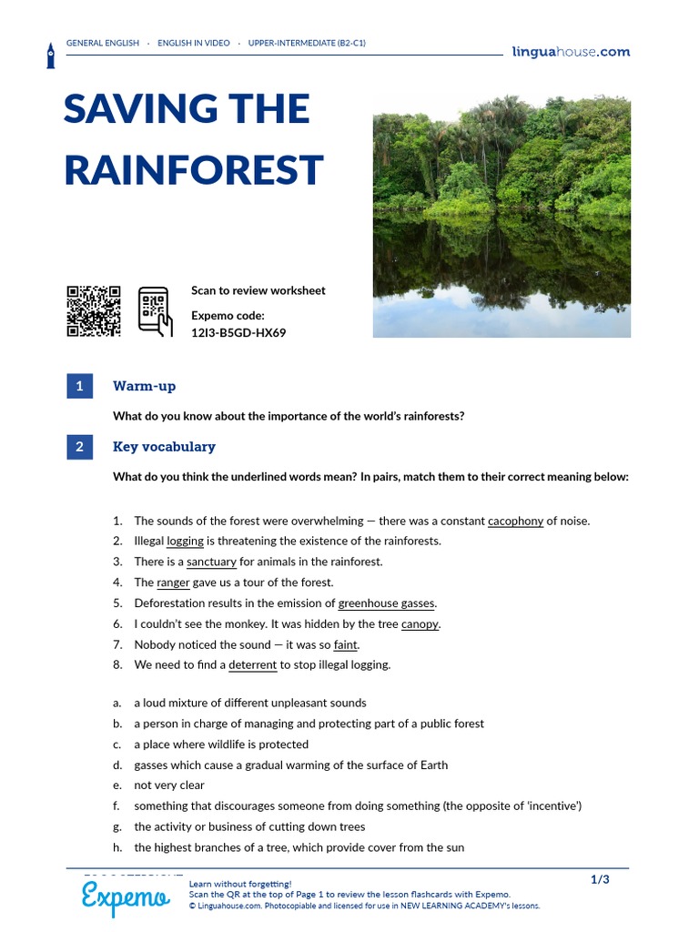 Saving The Rainforest: Warm-Up | PDF | Rainforest | Natural Environment