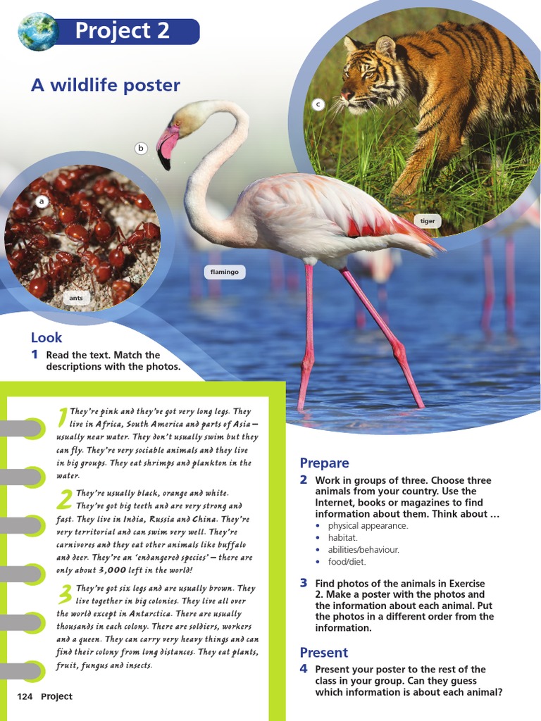 Animal Poster Project | PDF | Organisms | Nature