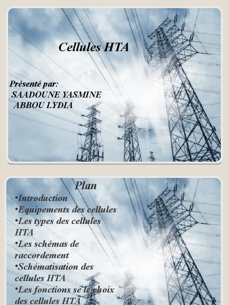 Cellule HTa | PDF