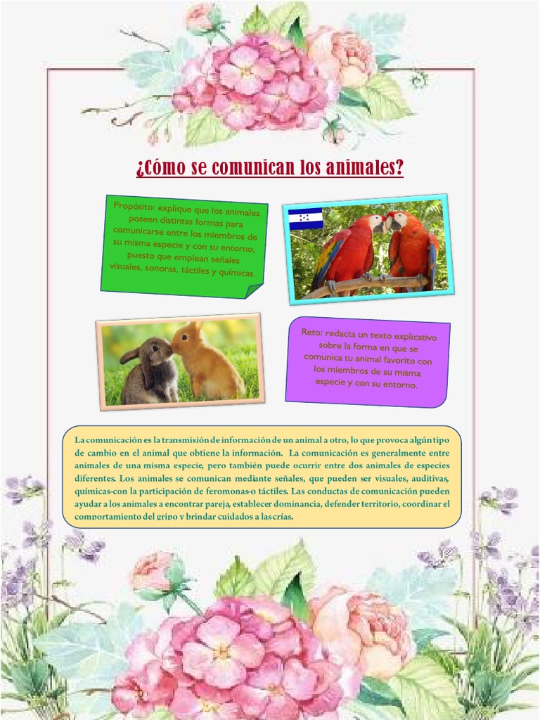 Cómo Se Comunican Los Animales-1 | PDF