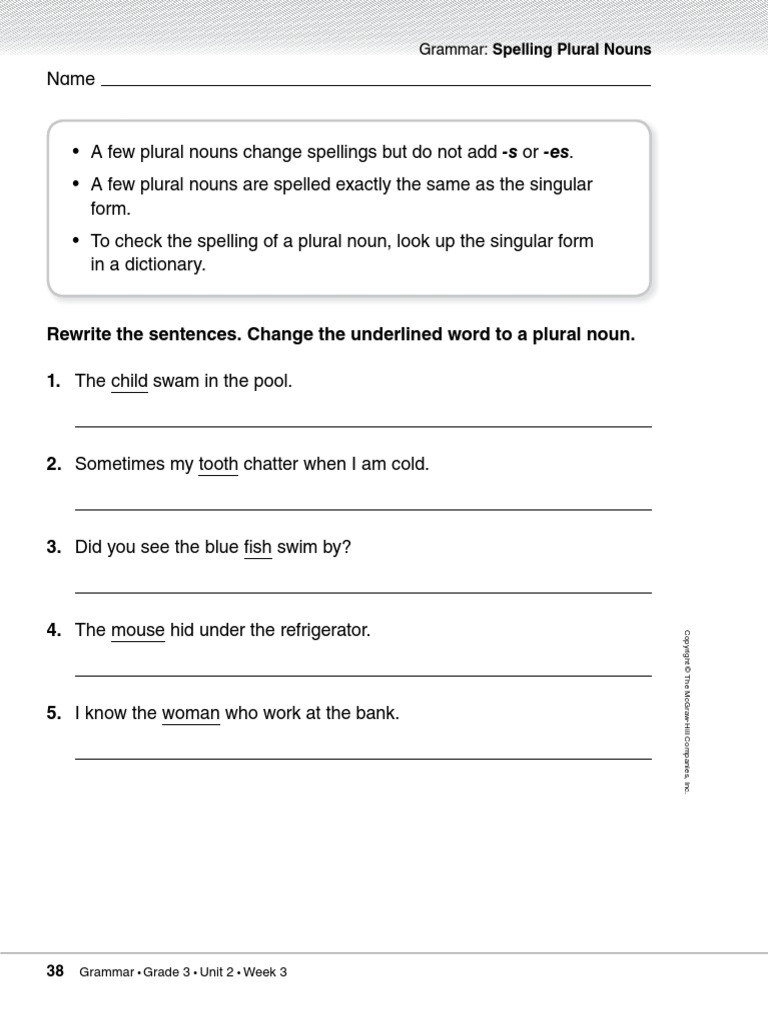 Grammar: Spelling Plural Nouns: Grammar Grade 3 Unit 2 Week 3 | PDF