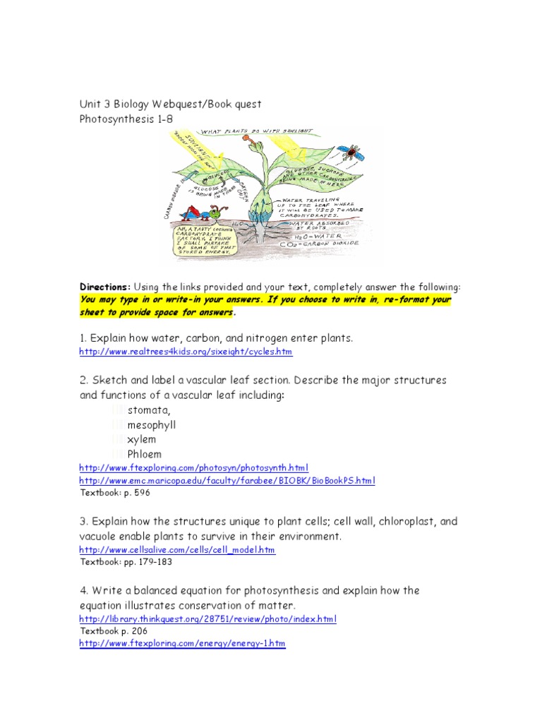 Unit 3 Biology Webquest | Download Free PDF | Photosynthesis | Cellular ...
