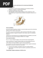 #6, Anestesia Del Nervio Mentoniano | PDF | Anatomía humana | Medicina ...