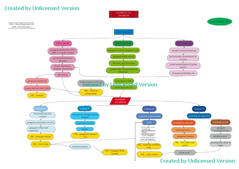 Pathway Kanker Ovarium dan Kista | PDF