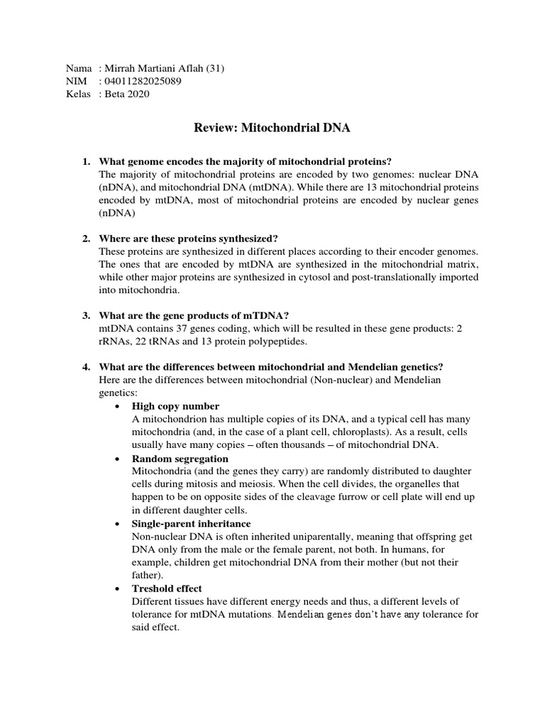 Review DNA Mitokondria | PDF | Mitochondrial Dna | Mitochondrion
