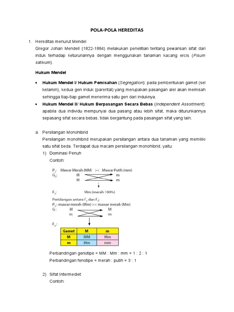 Pola-Pola Hereditas | PDF