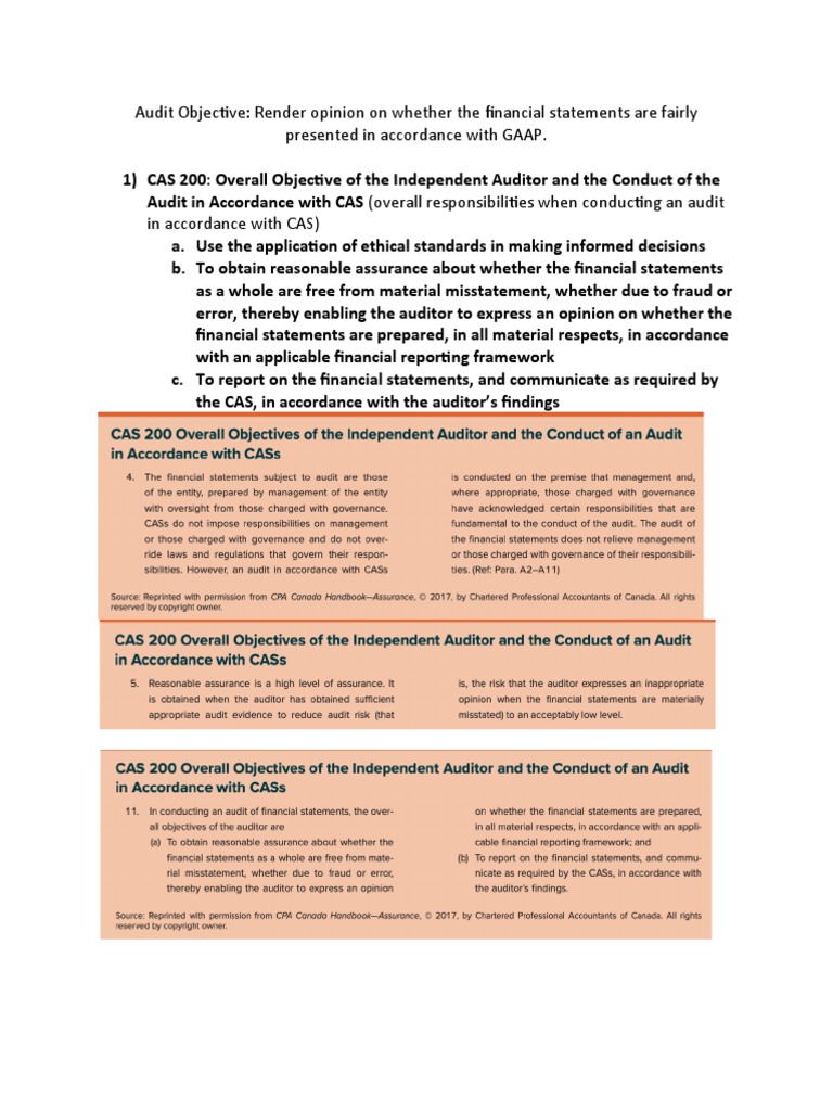 Auditing - CAS Standards | PDF | Financial Audit | Audit