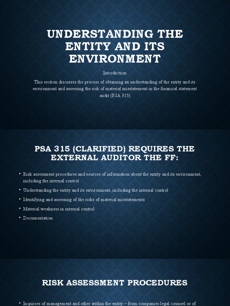 Understanding The Entity and Its Environment | PDF