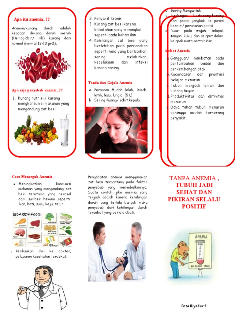 Leaflet Anemia | PDF