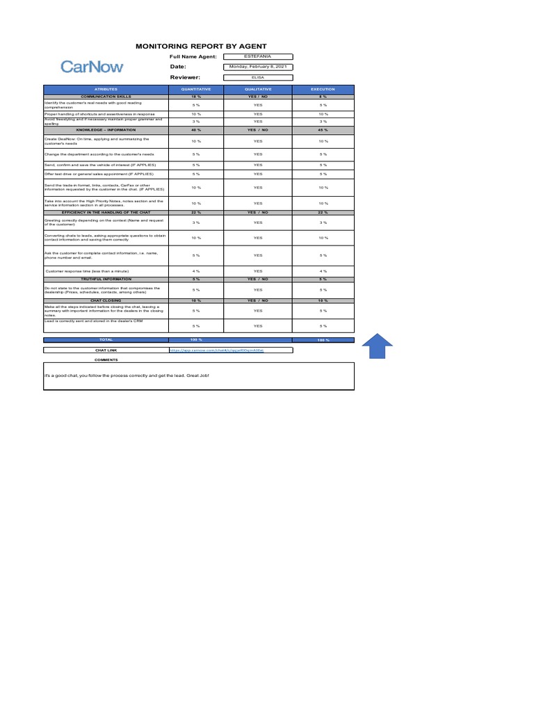 Monitoring Report by Agent: Date: Reviewer | PDF | Customer ...