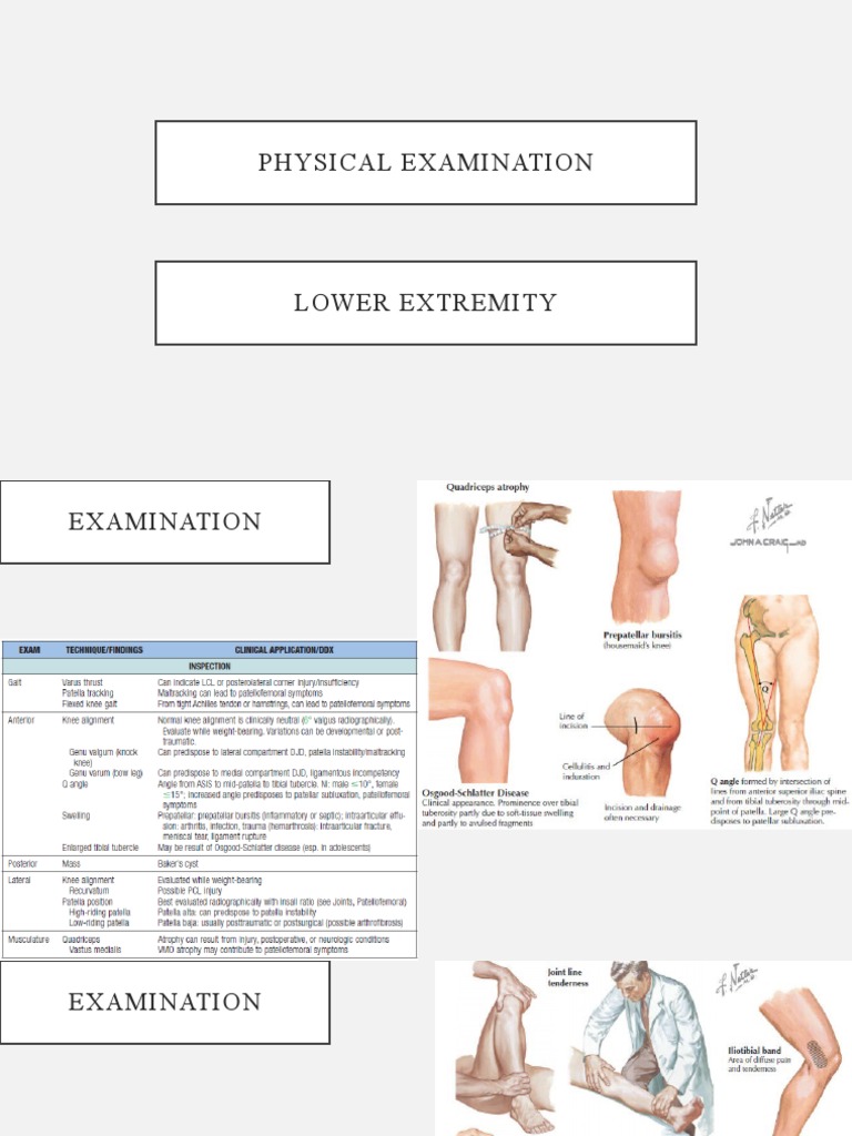 Physical Examination Lower Extremity | PDF