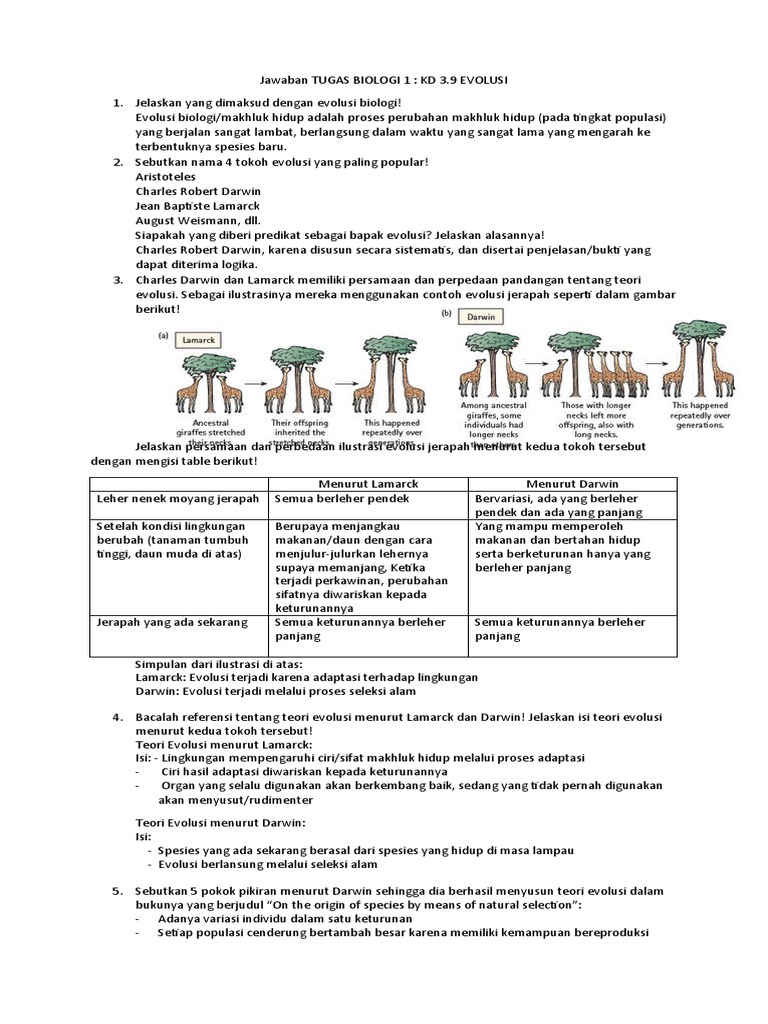 LKS Evolusi (1) - Jawaban | PDF | Sains & Matematika