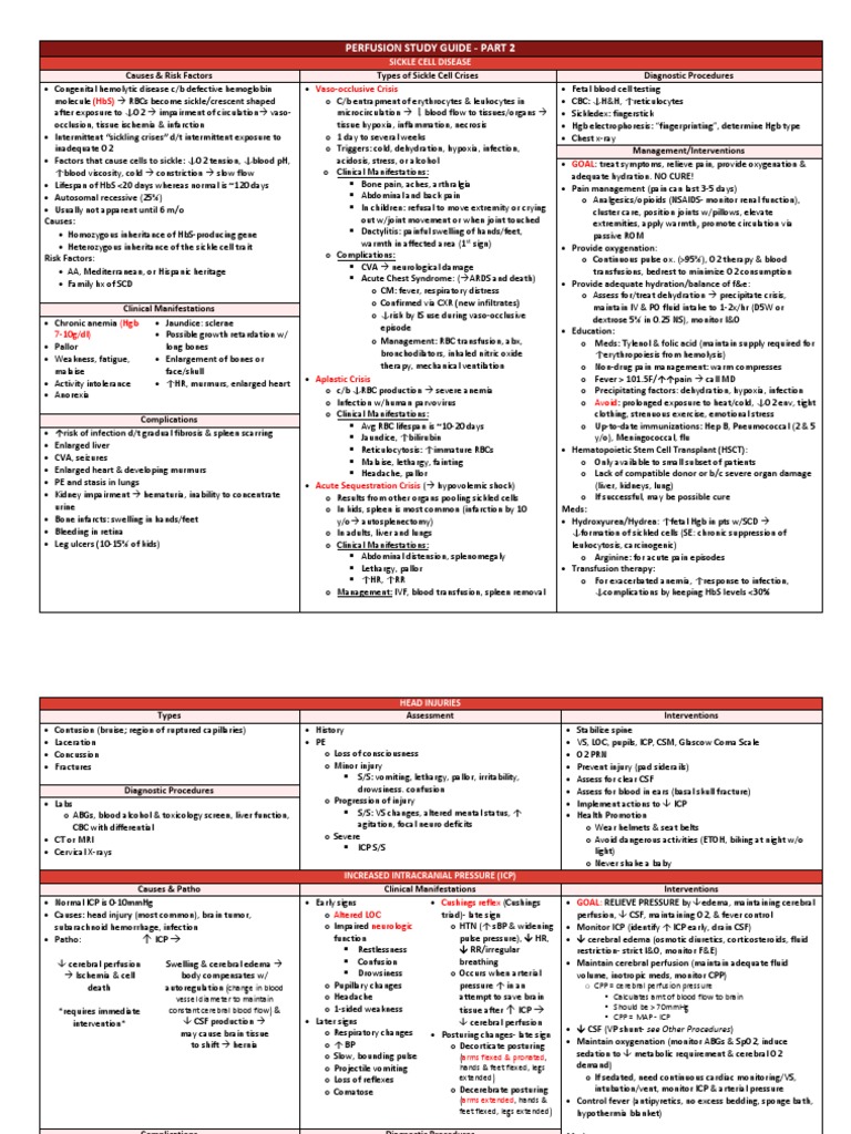 Exam 4 Study Guide Charts | PDF