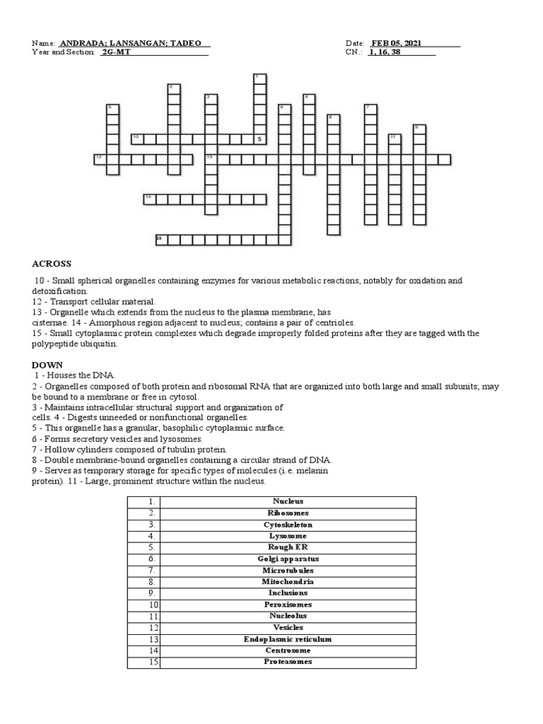 Cell - Formative Assessment - MT 6315 2021 | PDF | Endoplasmic ...