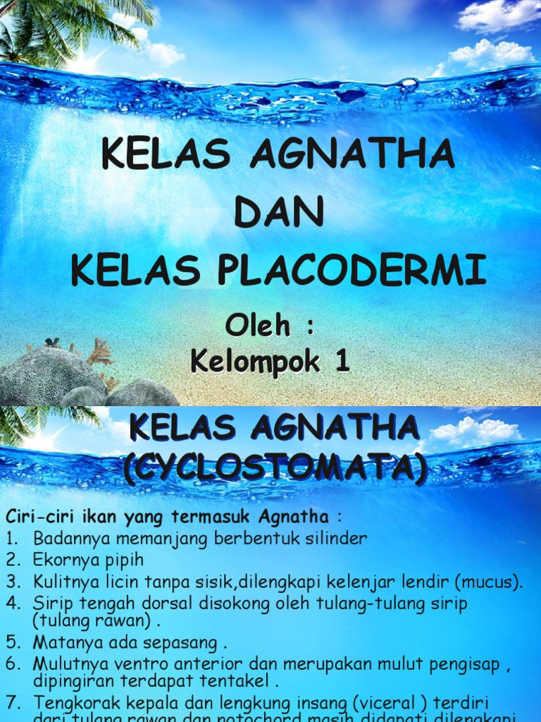 Agnatha pptx1 130628033147 Phpapp01 | PDF