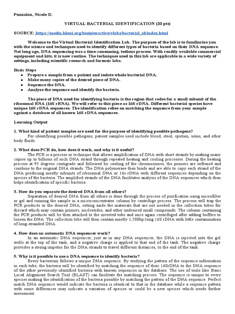 Virtual Lab | PDF | Polymerase Chain Reaction | Dna Sequencing