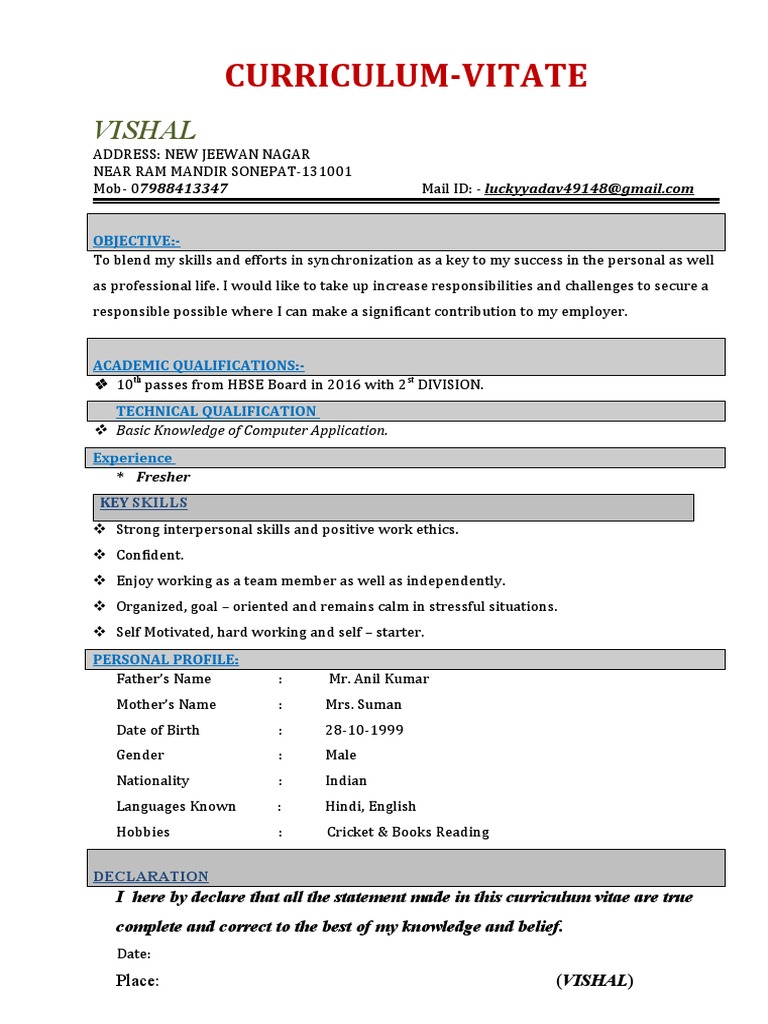 Vishal Resume 2016 | PDF