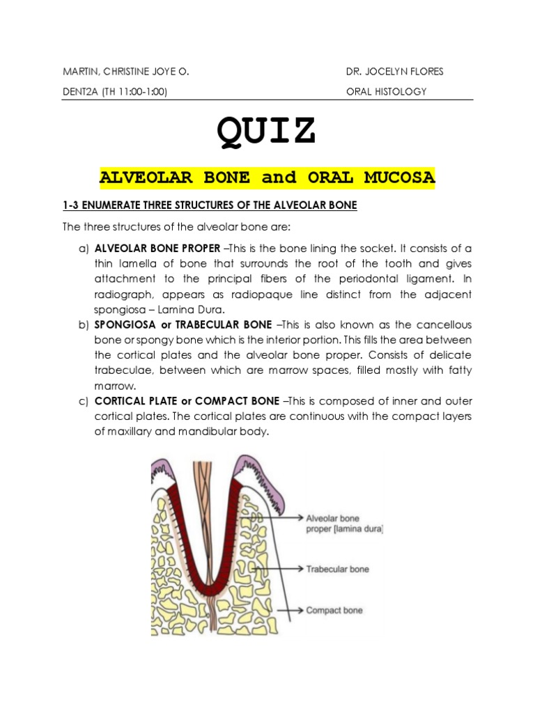 MARTIN, CHRISTINE JOYE O. - DENT 2A - QUIZ On ALVEOLAR BONE and ORAL ...