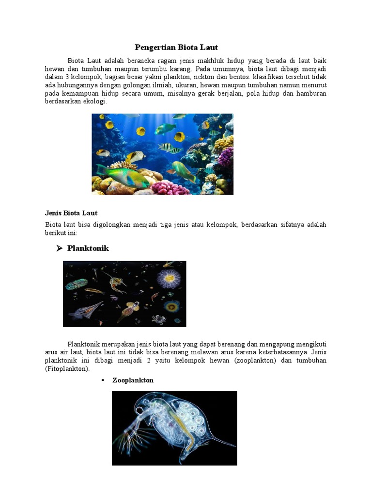 Jenis Biota Laut: Plankton, Benthos, Nekton | PDF | Kesehatan Holistik ...