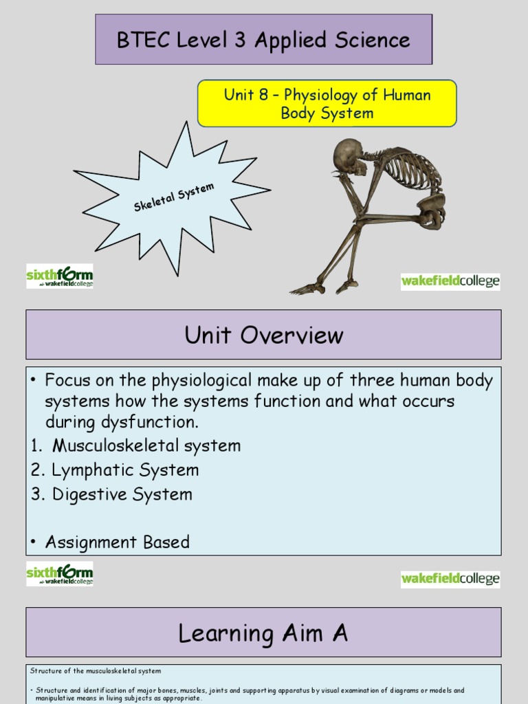 Introduction To The Musculoskeletal System (U8) | PDF | Skeleton ...