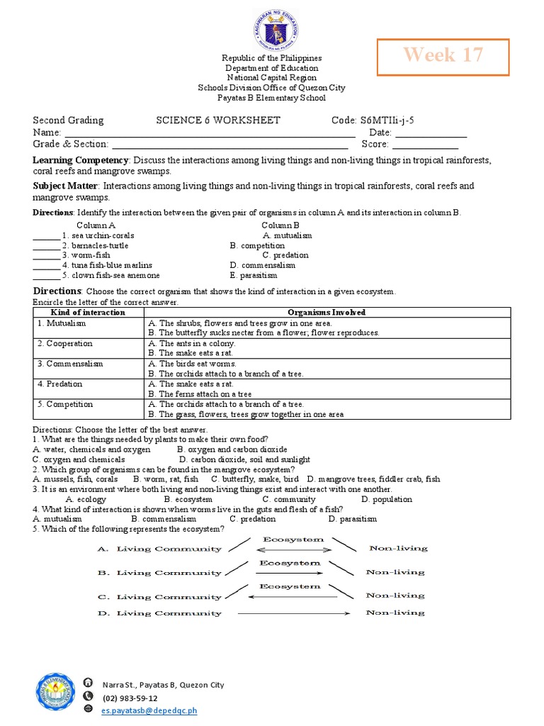 Science 6 Q2 Worksheet Week 17 | PDF | Trees | Rainforest
