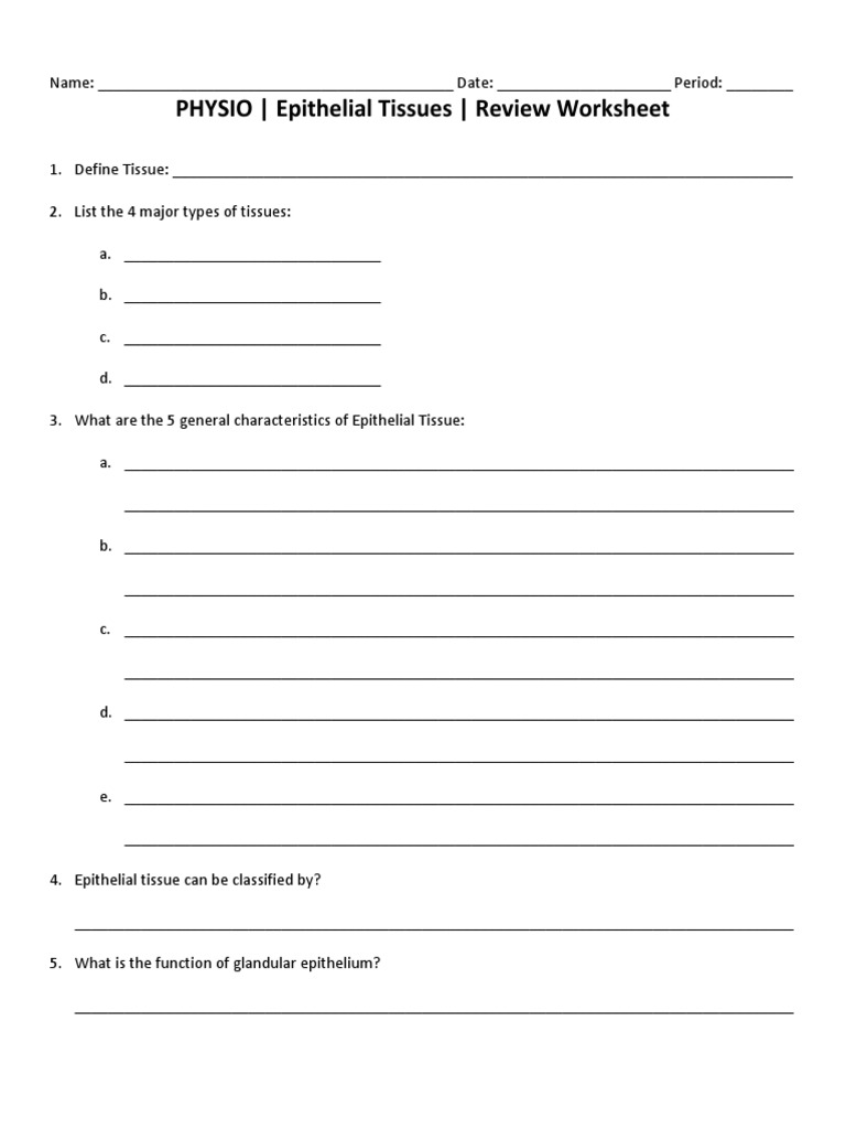 Epithelial Tissue Review Worksheet | PDF | Epithelium | Laboratory ...