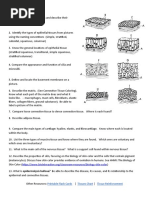 Body Tissues Concept Map Guide | PDF