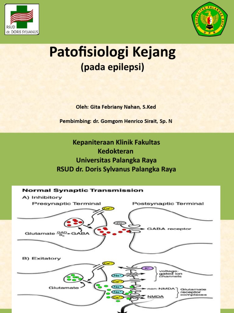 Patofis Kejang PD Epilepsi | PDF